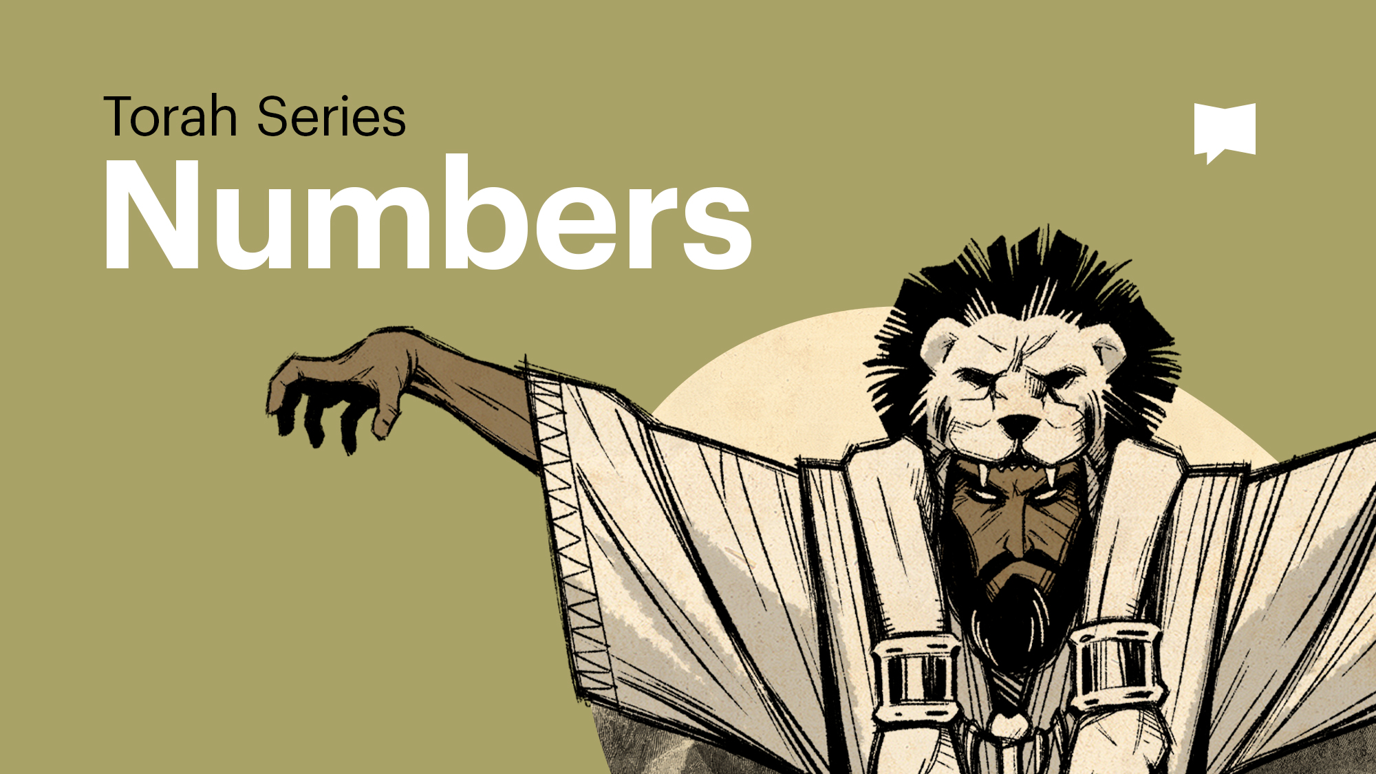 Numbers Torah Series